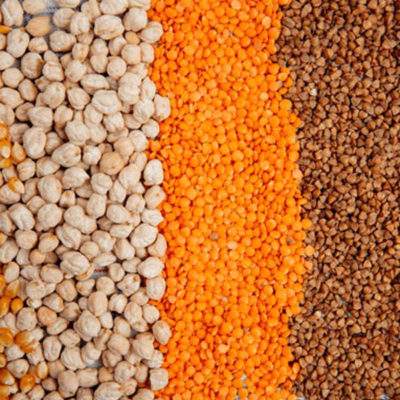 Bengali Comfort Food - Exploring different kinds of lentils/daal - The ...